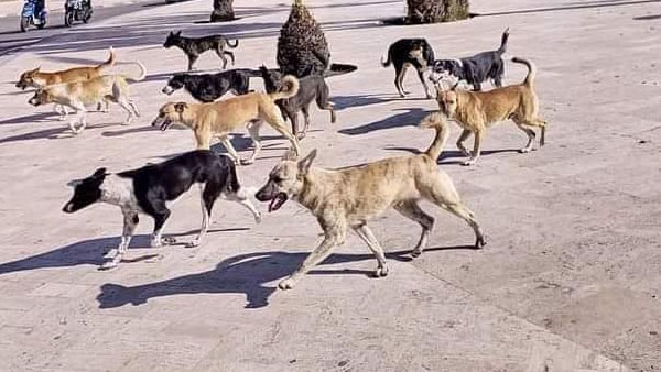 المساء الرئيسية